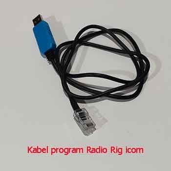 Jual Kabel program radio rig icom ic-f5023 | Shopee Indonesia