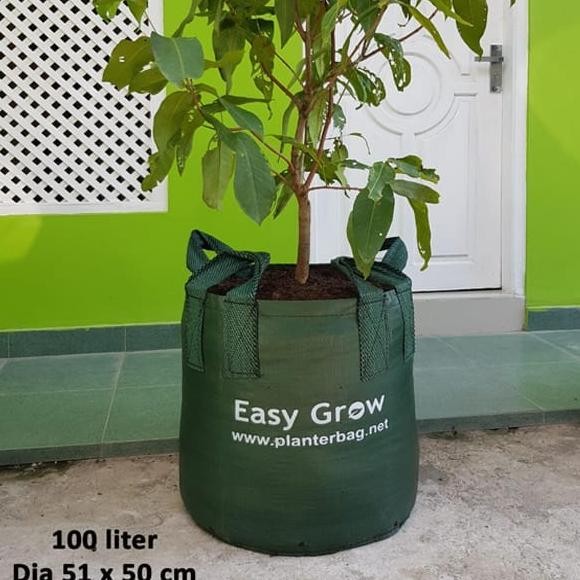 Jual Planter Bag 100 Liter Tall Original Easy Grow - PLANTER BAG HIJAU ...
