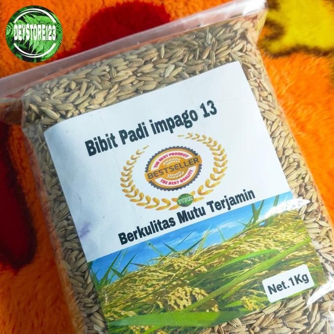 Jual benih padi inpago 12 super unggul 1 kg COD | Shopee Indonesia