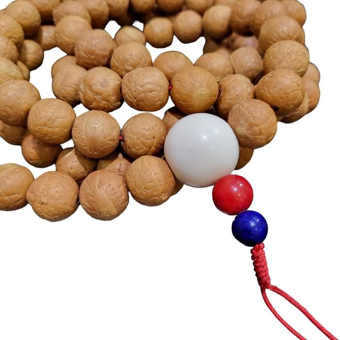 Jual Tasbih Mala Biji Bodhi 12 Mm Blessing Gonchen Monastery Tibet ...