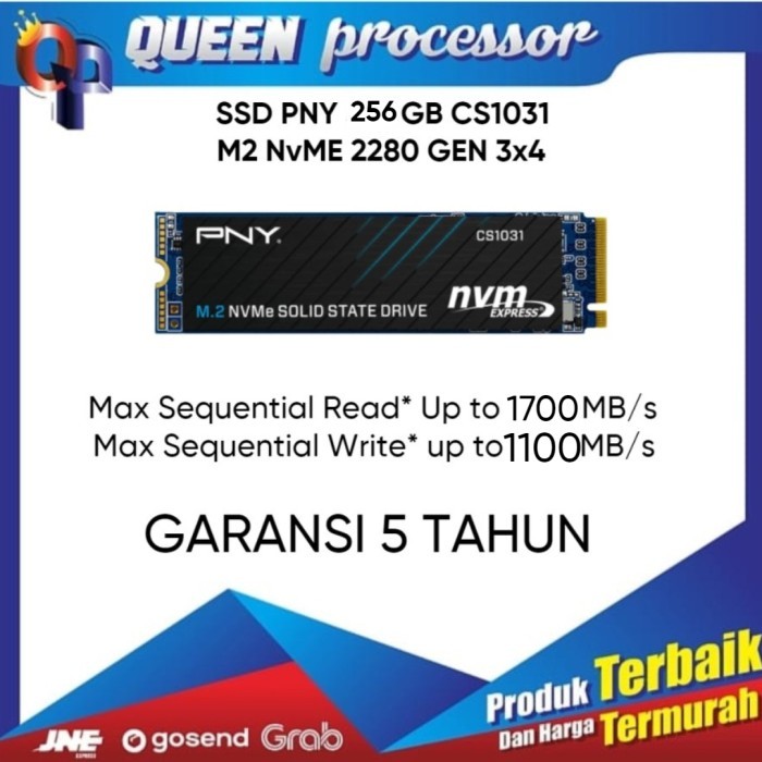 Jual SSD PNY CS1031 256GB M.2 2280 NVMe Gen3x4 SSD Unit Baru / Segel ...