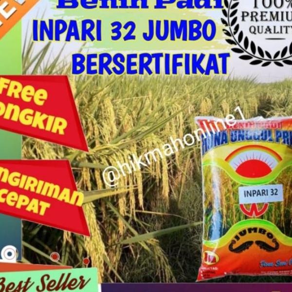 Jual Bibit Benih Padi Inpari 32 Jumbo Bersertifikat Label Ungu Kemasan 5Kg | Shopee Indonesia