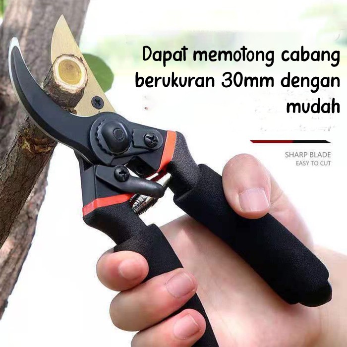 Jual Produk Ready Gunting Taman Dahan Ranting Stek Ratchet Pruning ...