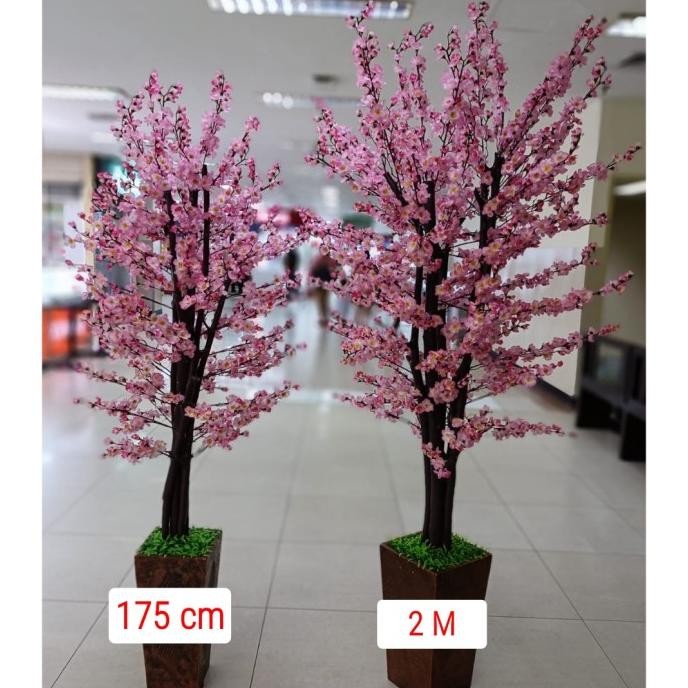 Jual Pohon bunga meihua sakura imlek angpao besar tinggi 175 cm 2 m ...