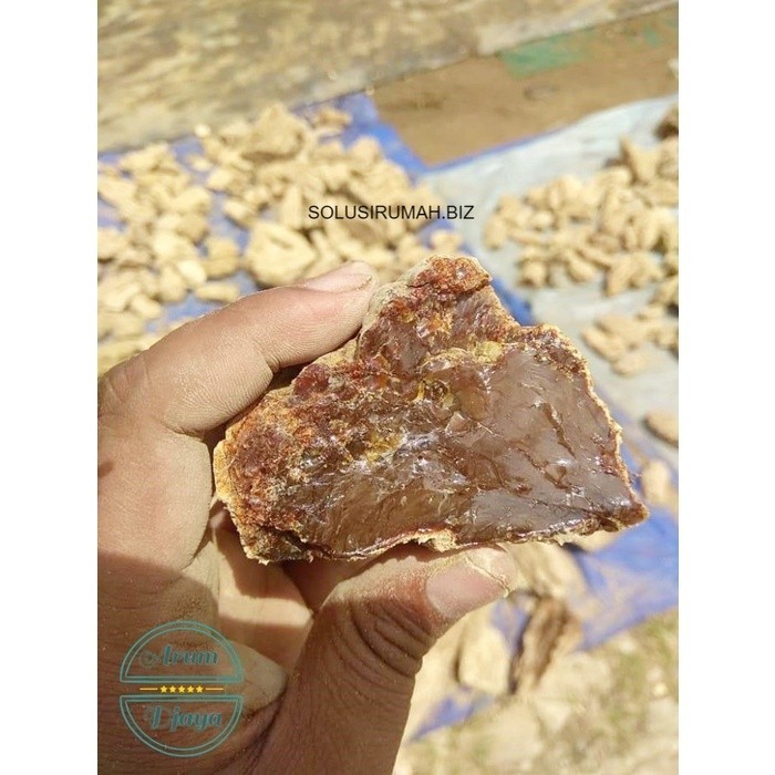 Jual BATU DAMAR GETAH DAMAR RESIN BATU SELO NATURAL GUM MATA KUCING ...