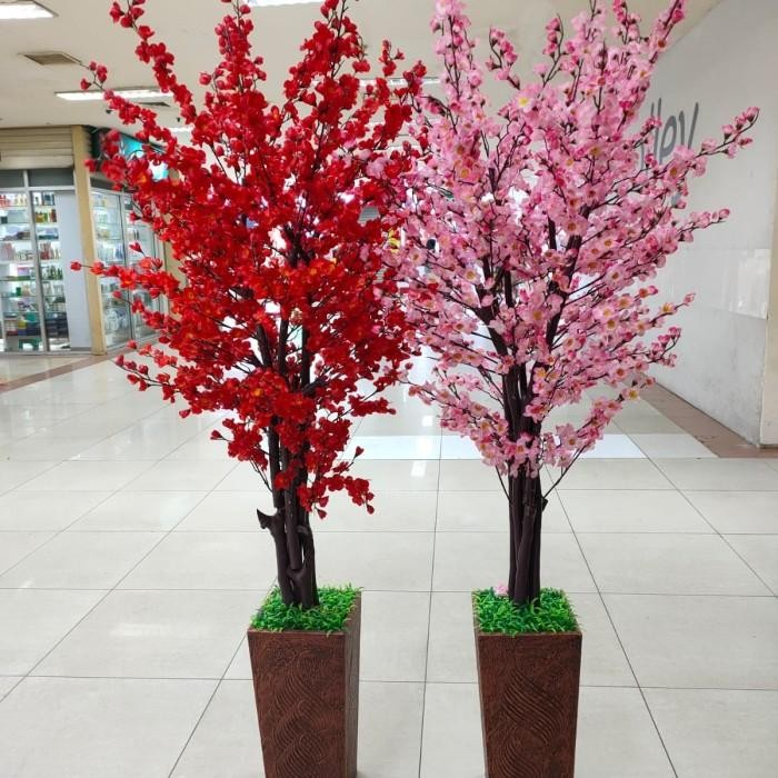 Jual Pohon Meihua Sakura Imlek Angpao Besar Tinggi 185 Cm 2 M Meter ...