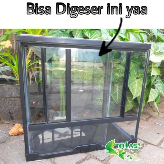 Jual Nikita Glass Pet Terrarium/Kandang Reptil/Kandang Hewan/Terrarium | Shopee Indonesia