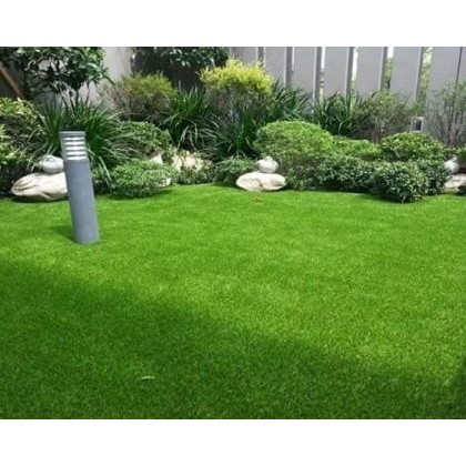 Jual PAKET TANAM Bibit Rumput Taman Peking 1x1meter/Bibit Rumput hidup ...