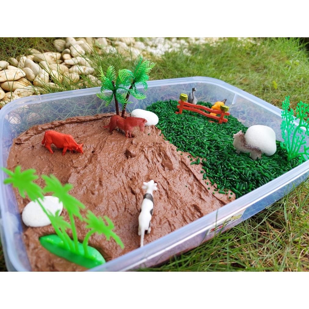 Jual ty-35 Farm Sensory Box / Sensory Bin / Sensory Play / Hewan ternak ...
