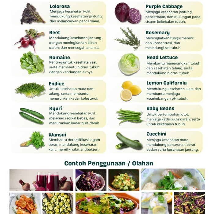 Jual Daun Dill 250gr - Daun Adas Sowa - Sayur Fresh by Sayur Mini ...