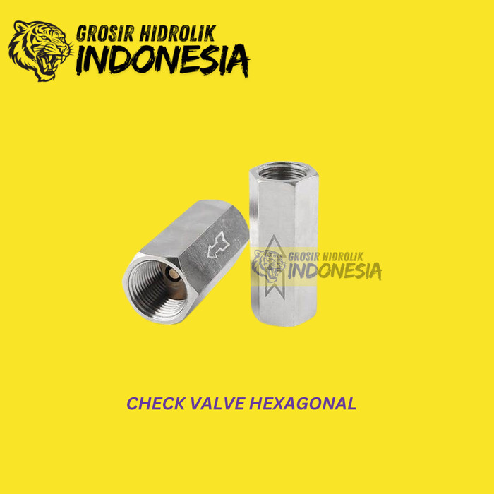 Jual 3/8'' CHECK VALVE ONE WAY VALVE NO RETURN VALVE HEXAGONAL DRAT 3/8 ...