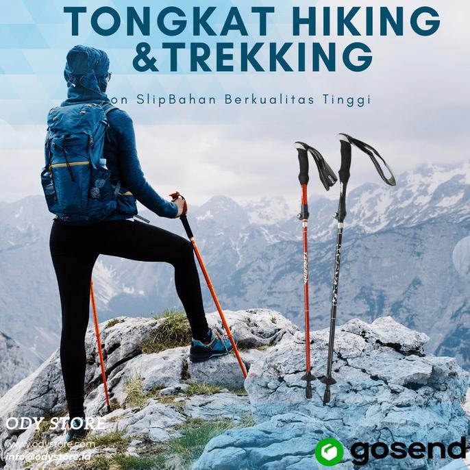 Jual TONGKAT STICK HIKING TREKKING POLE NAIK GUNUNG LIPAT WITH SAFETY ...