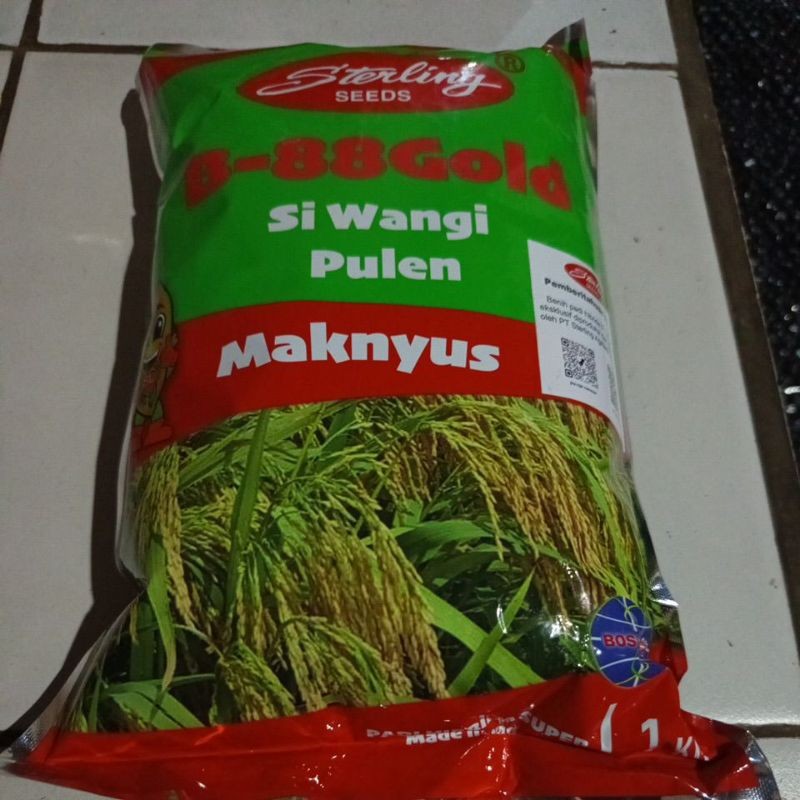 Jual Benih padi hibrida sterling B-88Gold 1 KG(exp:04 . 2025) | Shopee ...