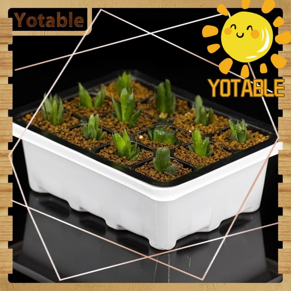 Jual 12 Sel Taman Taman Penanam Bibit Pot Pembibitan Tanaman Baki Baki ...