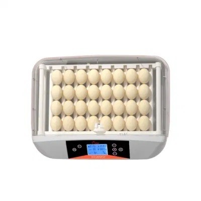 Jual Jual 32 Egg Incubator Mesin Penetas Telur Hhd Roller | Shopee ...