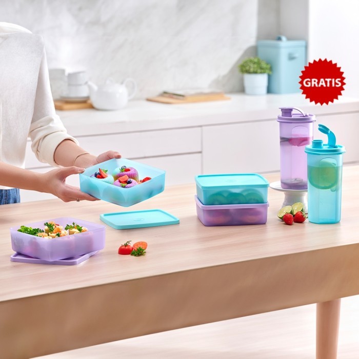 Jual Tupperware healthy buddy set kotak makan botol minum | Shopee ...