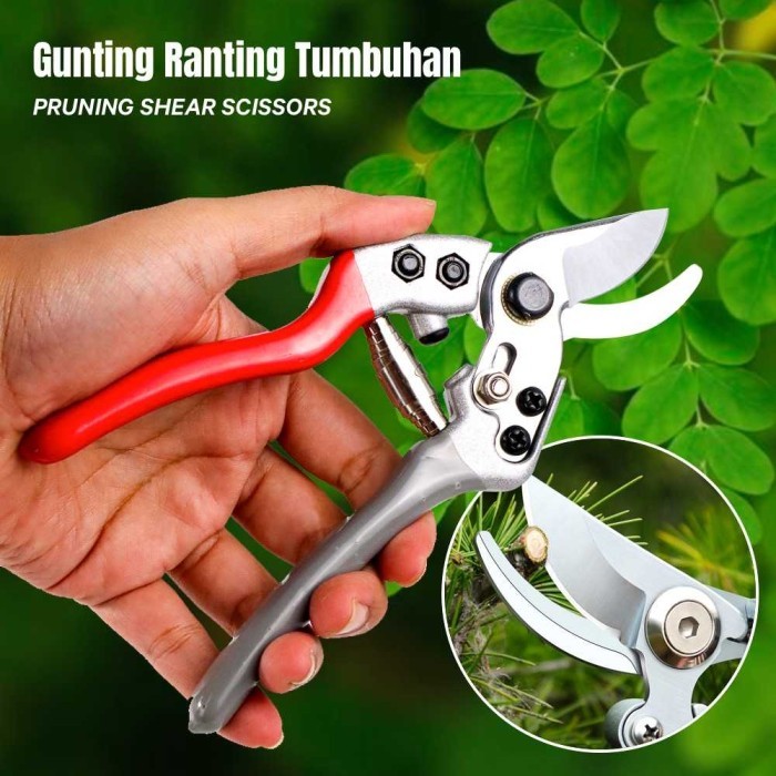 Jual Gunting Taman Ranting Tumbuhan Tanaman Pohon Bunga Gunting taman ...