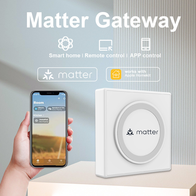 Jual Matter Smart Gateway Hub Homekit Zigbee Multi-model Smart | Shopee ...