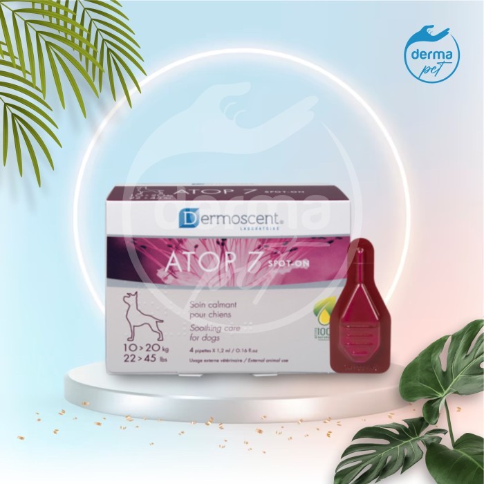 Jual Terbaru Dermoscent ATOP 7 spot-on for dogs 10-20kg (1 Box = 4 ...