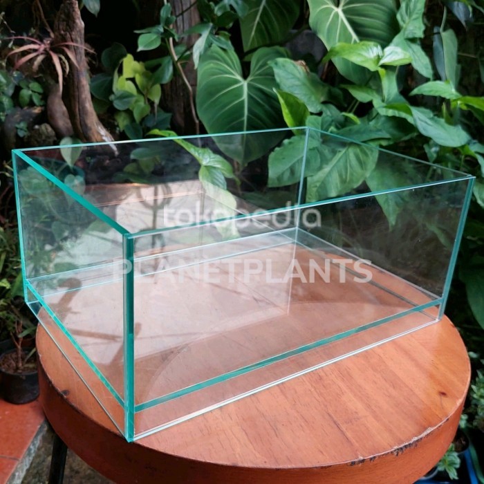 Jual LIMITED EDITION A100 SHALLOW GLASS TERRARIUM VIVARIUM PALUDARIUM ...