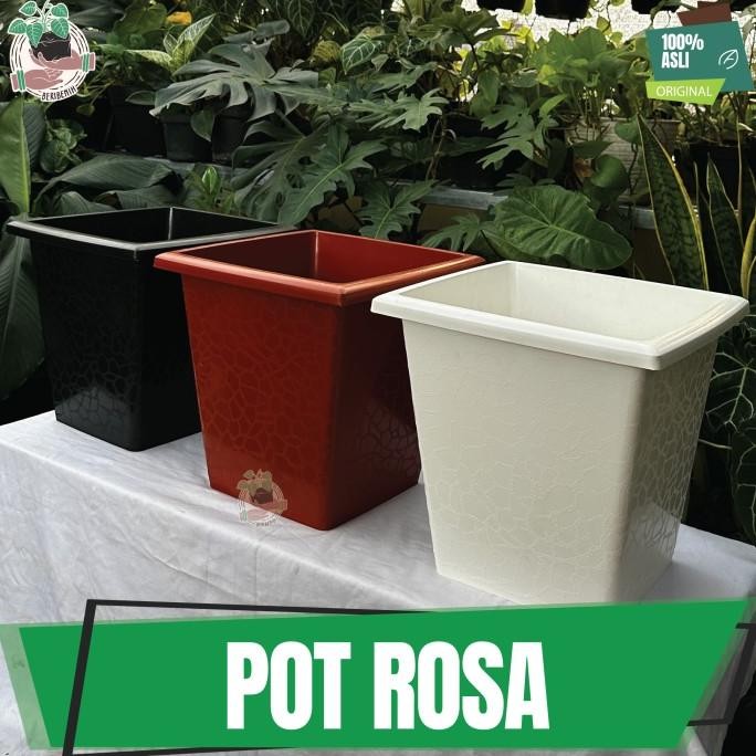 Jual Pot Bunga Kotak Putih Besar 40 Rosa Pot Taman Tanaman Hias Buah ...