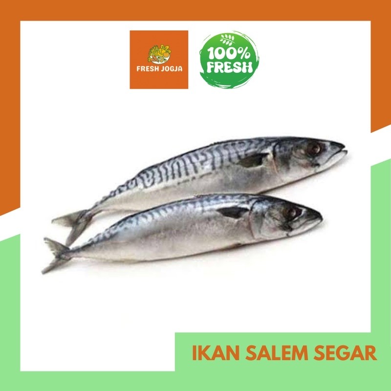 Jual Ikan Salem Segar per 500gr | Fresh Jogja | Shopee Indonesia
