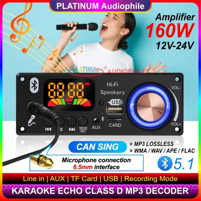 Jual Modul Mp3 Deer Bluetooth Karaoke Amplifier 2X 80W Multimedia ...