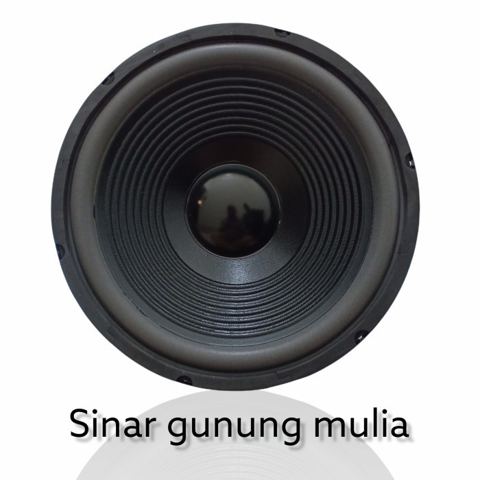 Jual SPEAKER WOOFER / SPIKER WOFER 12 INCH ELSOUND ORIGINAL | Shopee ...