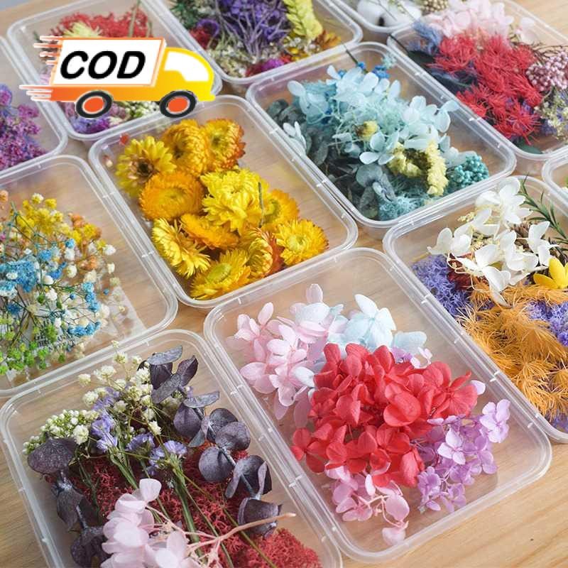 Jual Bunga Kering Aroma Terapi Pengharum Ruangan Dekorasi Aesthetic ...