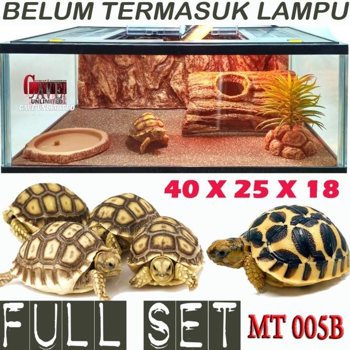 Jual MT005B FULL SET KANDANG TERRARIUM TORTO TABLE KURA KURA DARAT ...