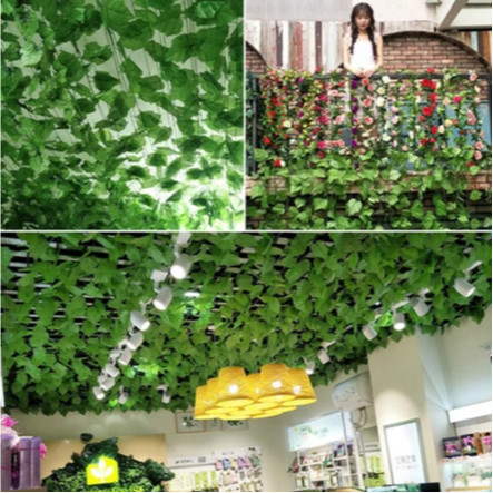 Jual Daun Rambat Besar Anggur Sulur 1m Warna Hijau Muda & Hijau Tua ...