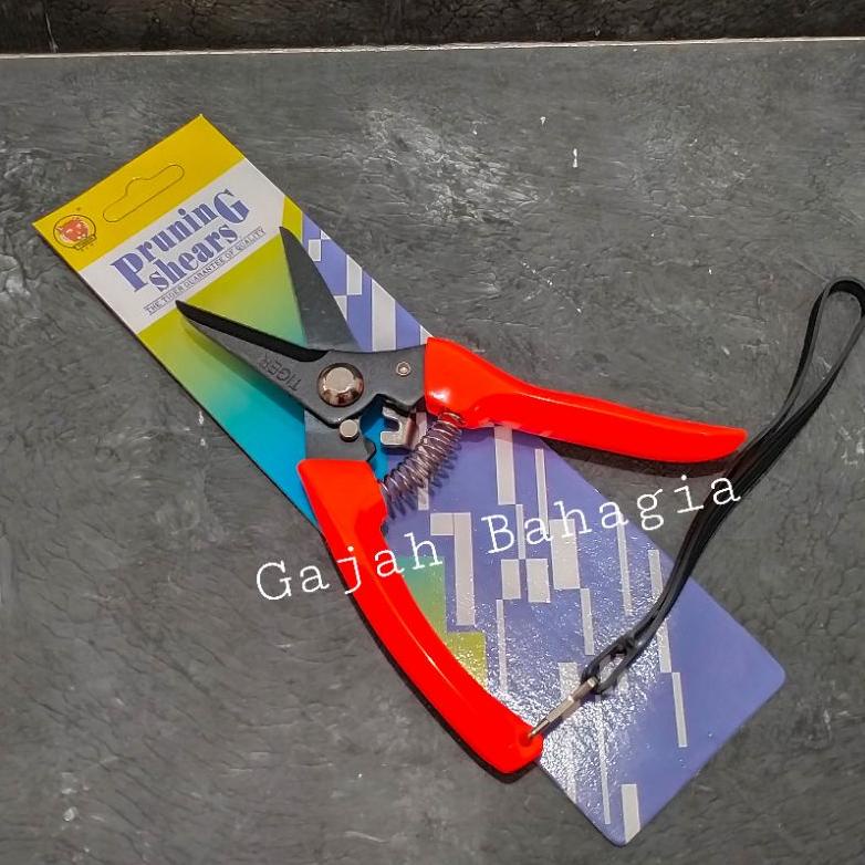 Jual Gunting dahan ranting Gunting stek tanaman bonsai Pruning shear ...