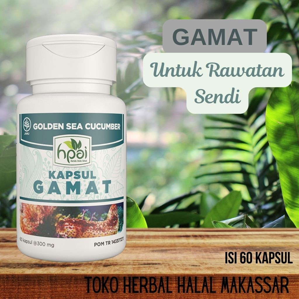 Jual Gamat Kapsul HNI HPAI isi 60 kapsul Suplemen yang baik untuk ...