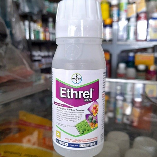 Jual Ethrel 480SL 100ml | Shopee Indonesia