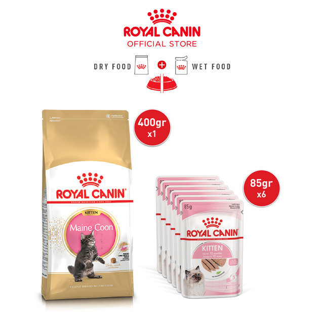 Jual Royal Canin Maine Coon Kitten (400g) Dry + Kitten Loaf (85g x 6 ...