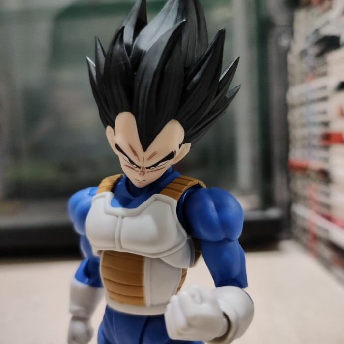 Jual Tonsenarttoys Tonsen Arttoys HS Vegeta ( BIB Perfect ) | Shopee ...