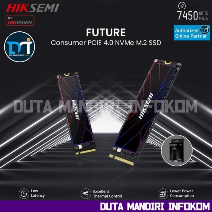 Jual Hiksemi FUTURE SSD 512GB 1TB 2TB - M.2 NVMe 2280 PCIe Gen4 x4 ...