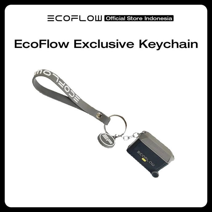 Jual ECOFLOW DELTA PRO EXCLUSIVE KEYCHAIN MERCHANDISE GANTUNGAN KUNCI ...