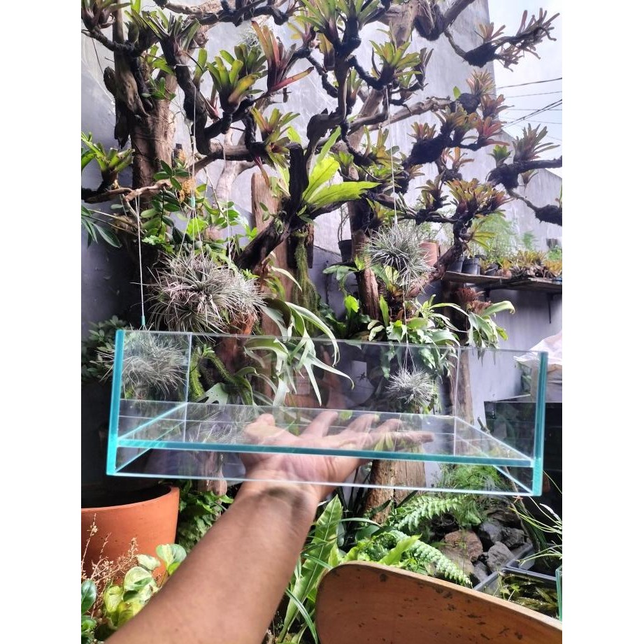 Jual A100 SHALLOW GLASS 300 TERRARIUM VIVARIUM PALUDARIUM TANK AQUARIUM ...