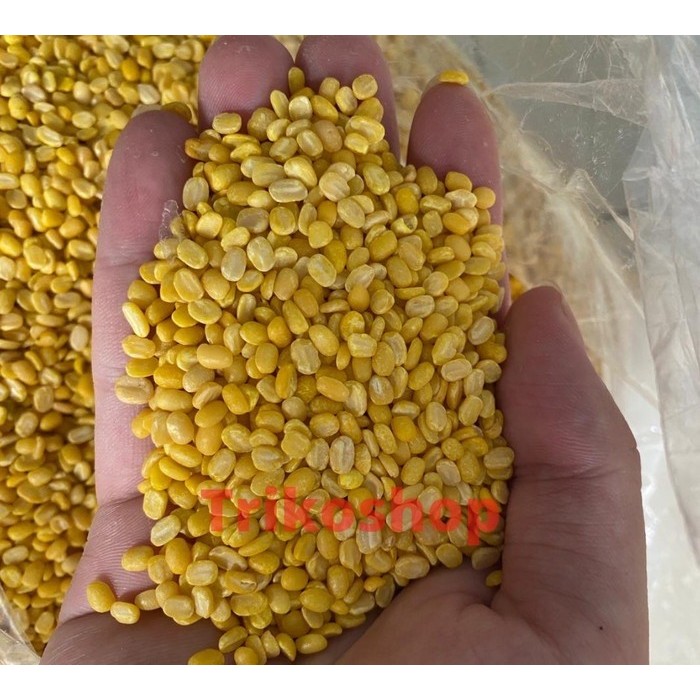 Jual Acang Hijau Upa 250 Gr Acang Ijo Upa | Shopee Indonesia