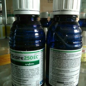 Jual Score 250EC 80ml | Shopee Indonesia