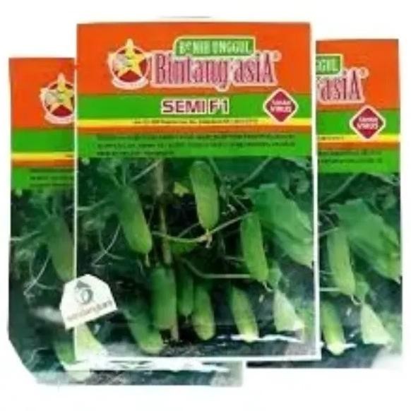 Jual Benih Baby Timun Semi F1 20 Gram Ketimun Mini Bintang Asia Produk ...