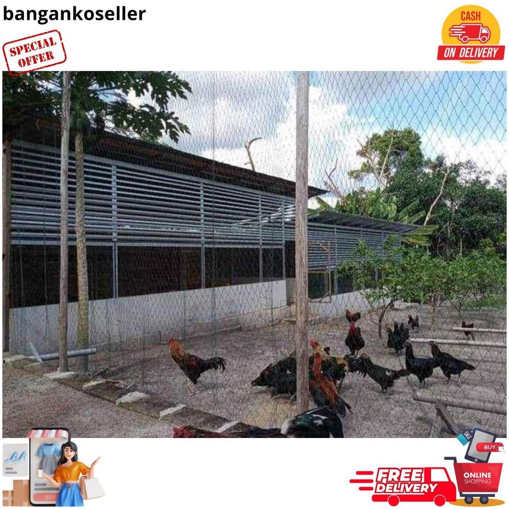 Jual Jaring Ayam Lebar 3 Meter / Jaring Pagar Ayam / Jaring Kandang Ayam Siap Kirim | Shopee ...