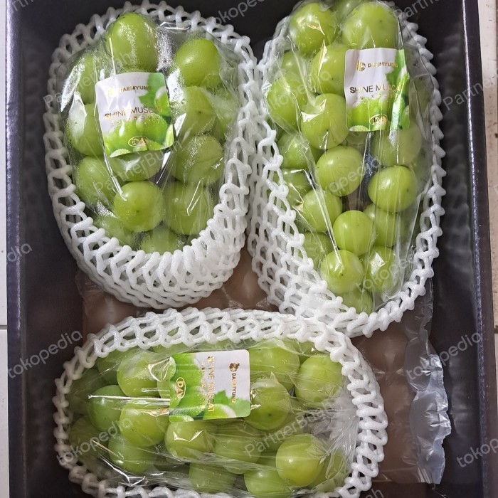 Jual Anggur Muscat Korea Manis Super Isi 3 Pack / Box | Shopee Indonesia