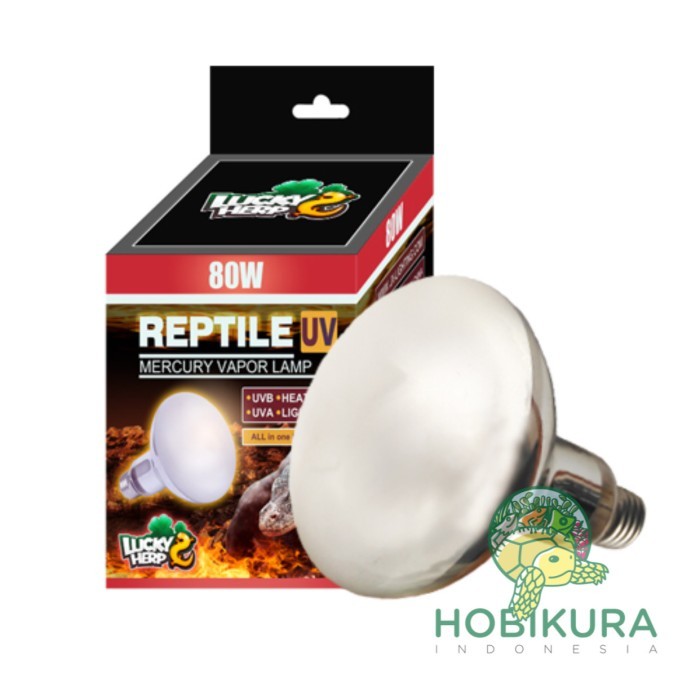 Jual Lampu UVA UVB Mercury Vapor 80 Watt / LUCKY HERP Reptile Torto Kura | Shopee Indonesia
