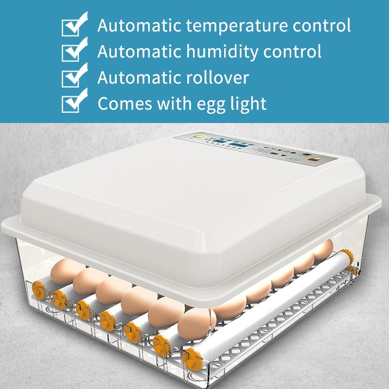Jual 【220V/12V 12/24/36/96 Telur】All-In-One Intelligent Full-automatic ...