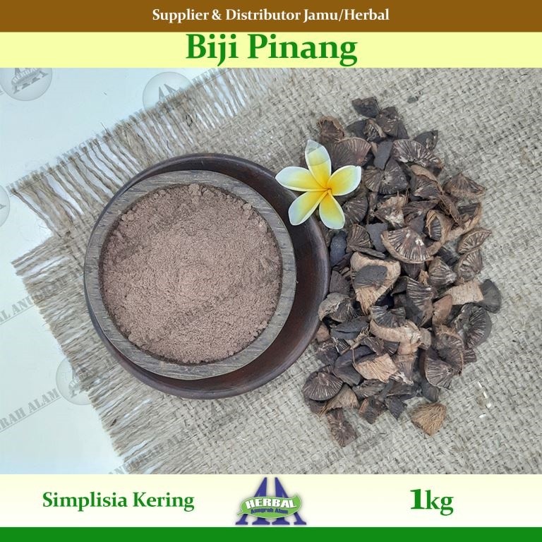 Jual Biji Pinang (Kering) 1Kg - 100% Murni #Herbal | Shopee Indonesia