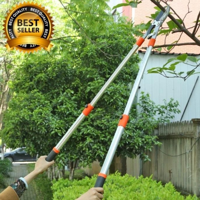 Jual NEW GUNTING POHON DAHAN RANTING TINGGI - GUNTING RANTING GAGANG PANJANG 0310T | Shopee ...