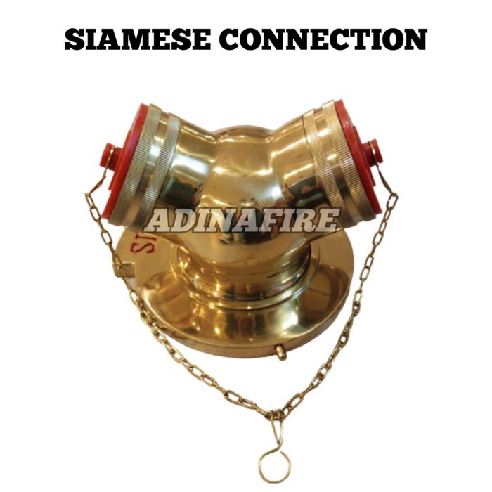 Jual SIAMESE CONNECTION MCH | Shopee Indonesia