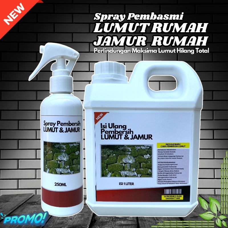 Jual Spray Pembasmi Lumut Rumah | Jamur Rumah | Perlindungan Maksimal ...